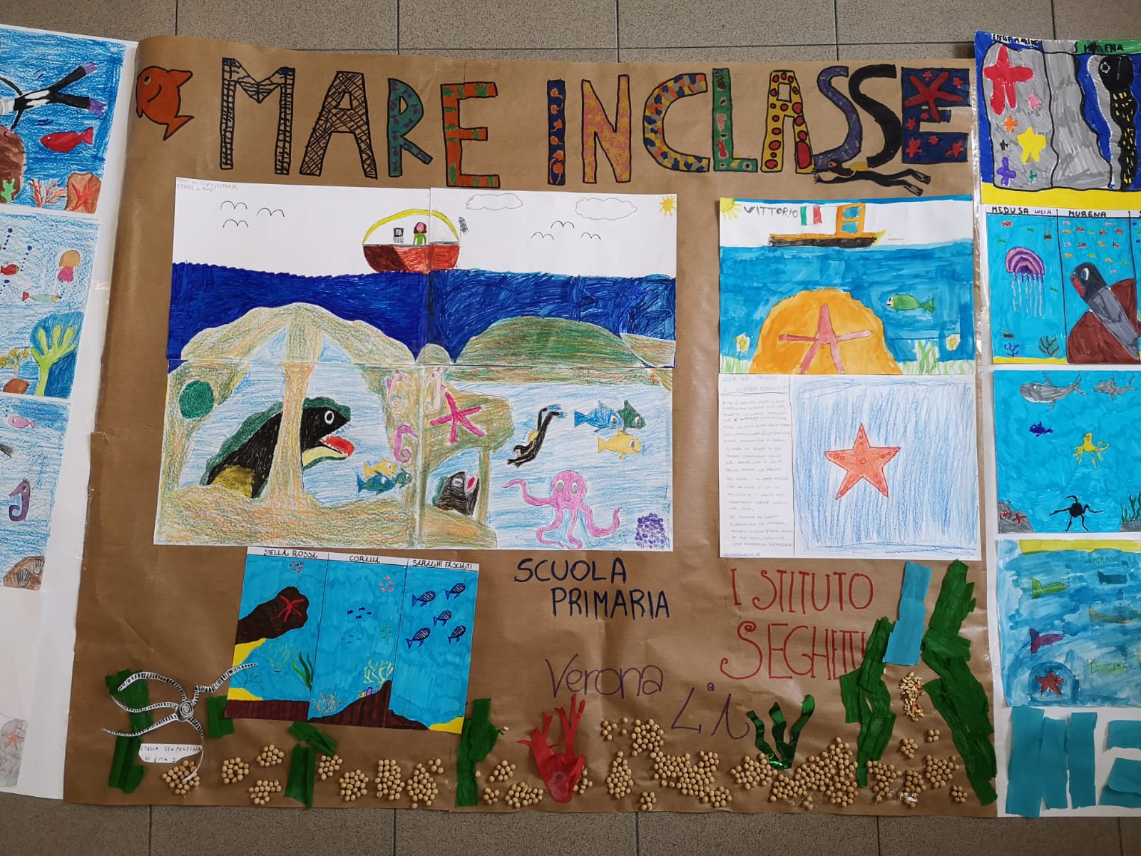 ...il mare in classe... - Istituto Seghetti