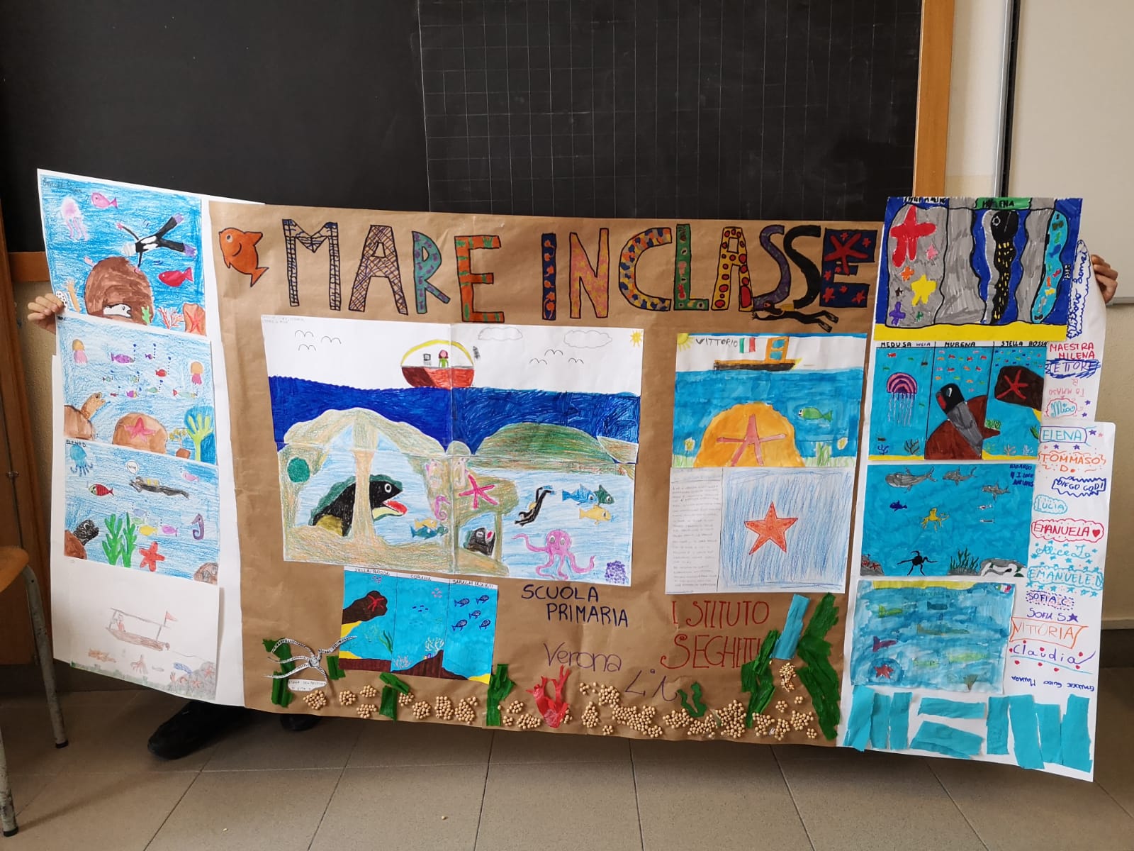 ...il mare in classe... - Istituto Seghetti